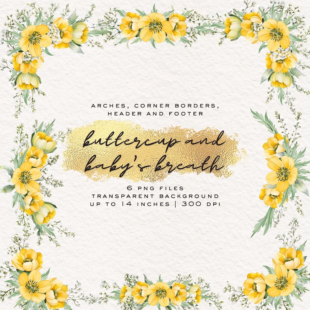 Buttercup and Baby's Breath Wildflower Watercolor Border Cliparts 6 PNG ...