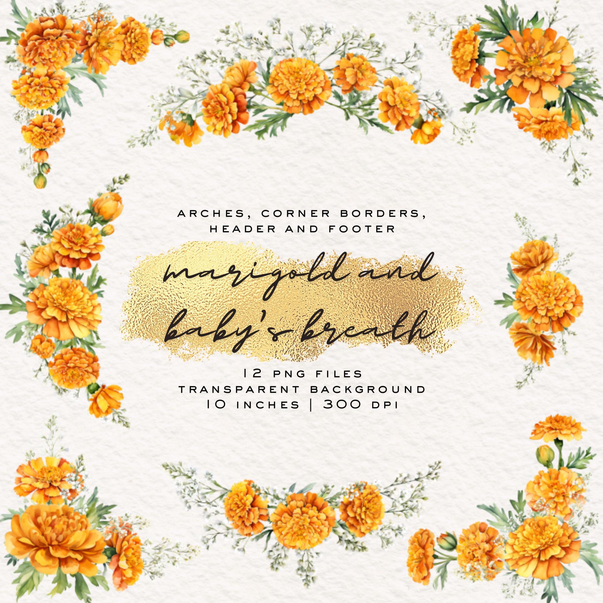 Marigold Border Watercolor Clipart - 12 PNG Floral Arrangements for ...