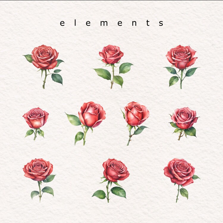 Red Roses Watercolor Clipart Bundle of 50 PNG Files of High Quality ...