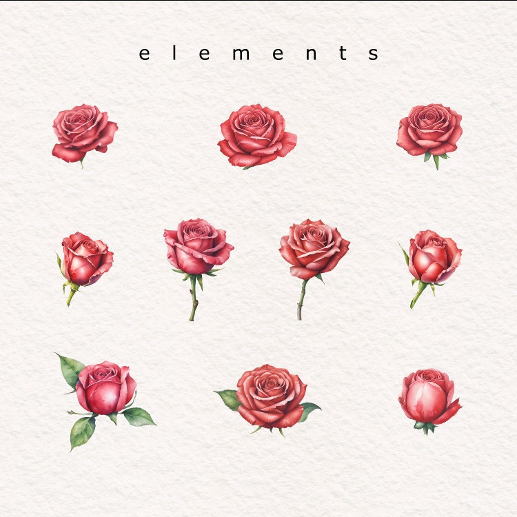 Red Roses Watercolor Clipart Bundle of 50 PNG Files of High Quality ...