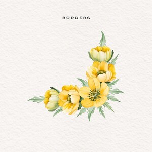 Buttercup Watercolor Clipart Borders: Floral PNG Files (digital ...