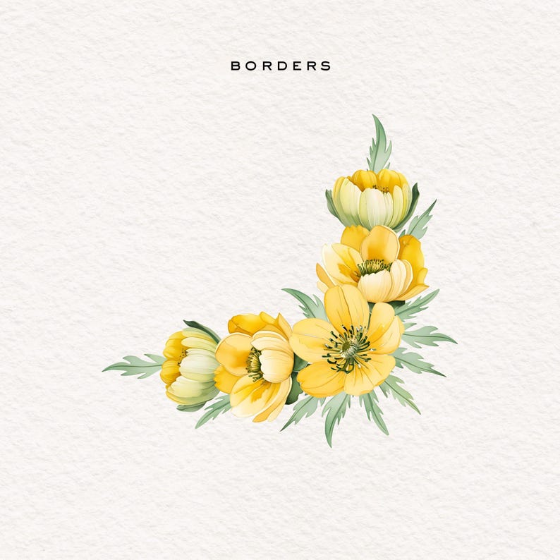 Buttercup Watercolor Clipart Borders: Floral PNG Files (digital ...