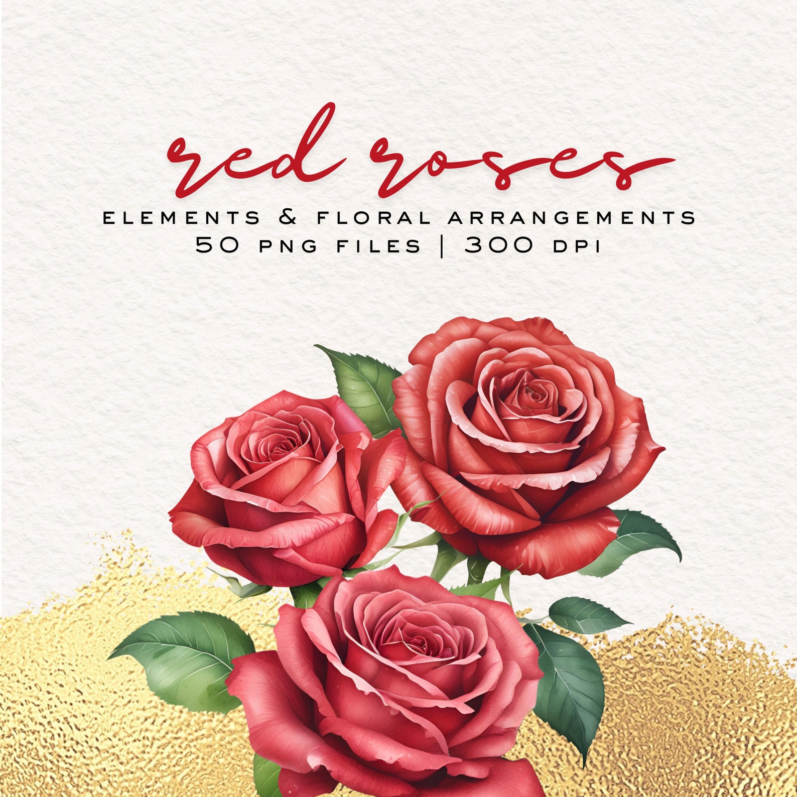 Red Roses Watercolor Clipart Bundle of 50 PNG Files of High Quality ...