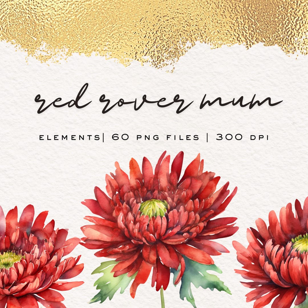 Red Rover Mum Floral Watercolor Clipart Elements for Floral ...