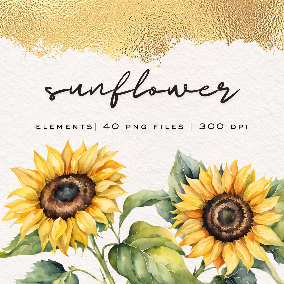 Sunflower Floral Watercolor Cliparts - 40 PNG Design Elements for ...