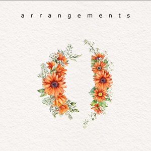Orange Daisy Border Watercolor Cliparts - 12 PNG Floral Arrangements ...