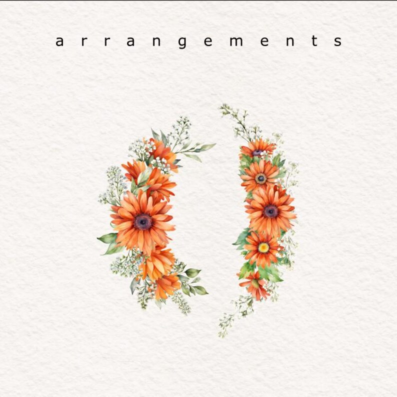 Orange Daisy Border Watercolor Cliparts - 12 PNG Floral Arrangements ...