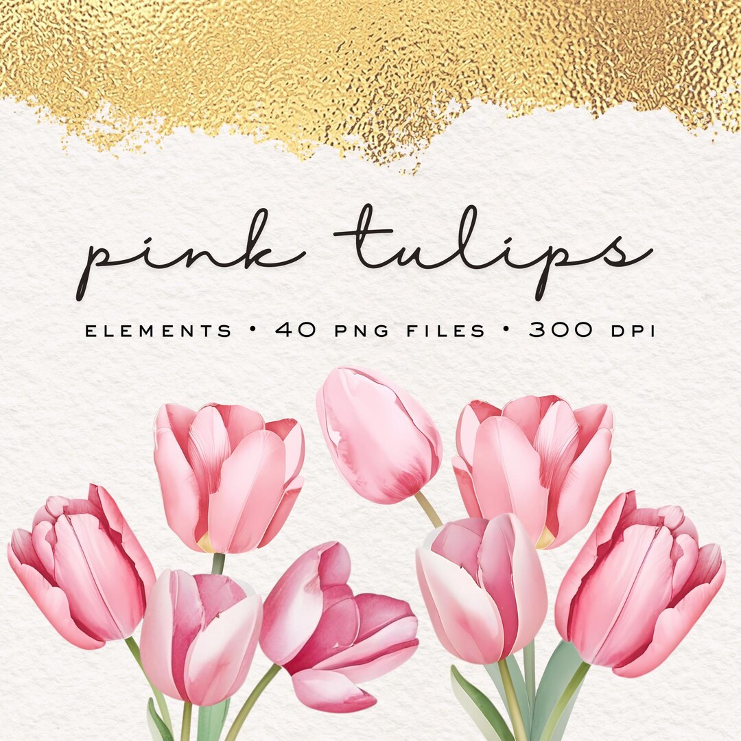 Pink Tulips Floral Watercolor Cliparts 40 PNG Design Elements for ...