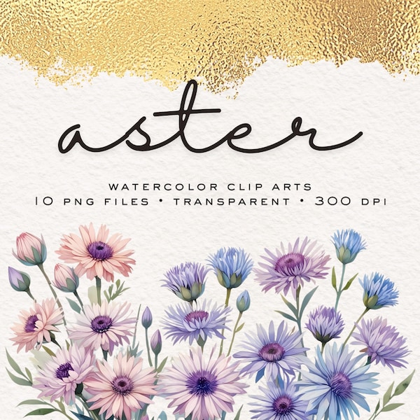 Asters Flower Sketch - Etsy
