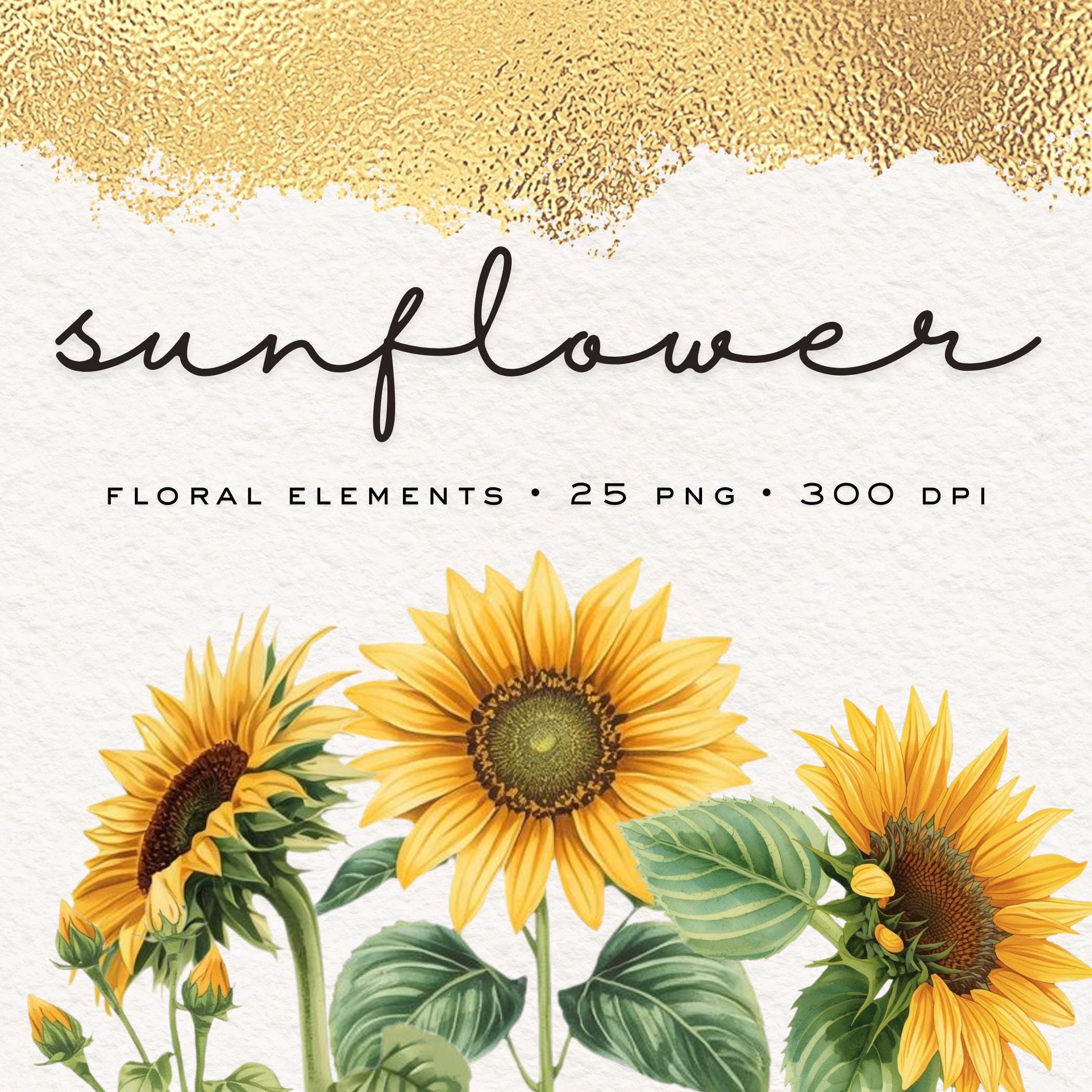 Sunflower Watercolor Clipart: 25 PNG Floral Design Elements, Personal ...
