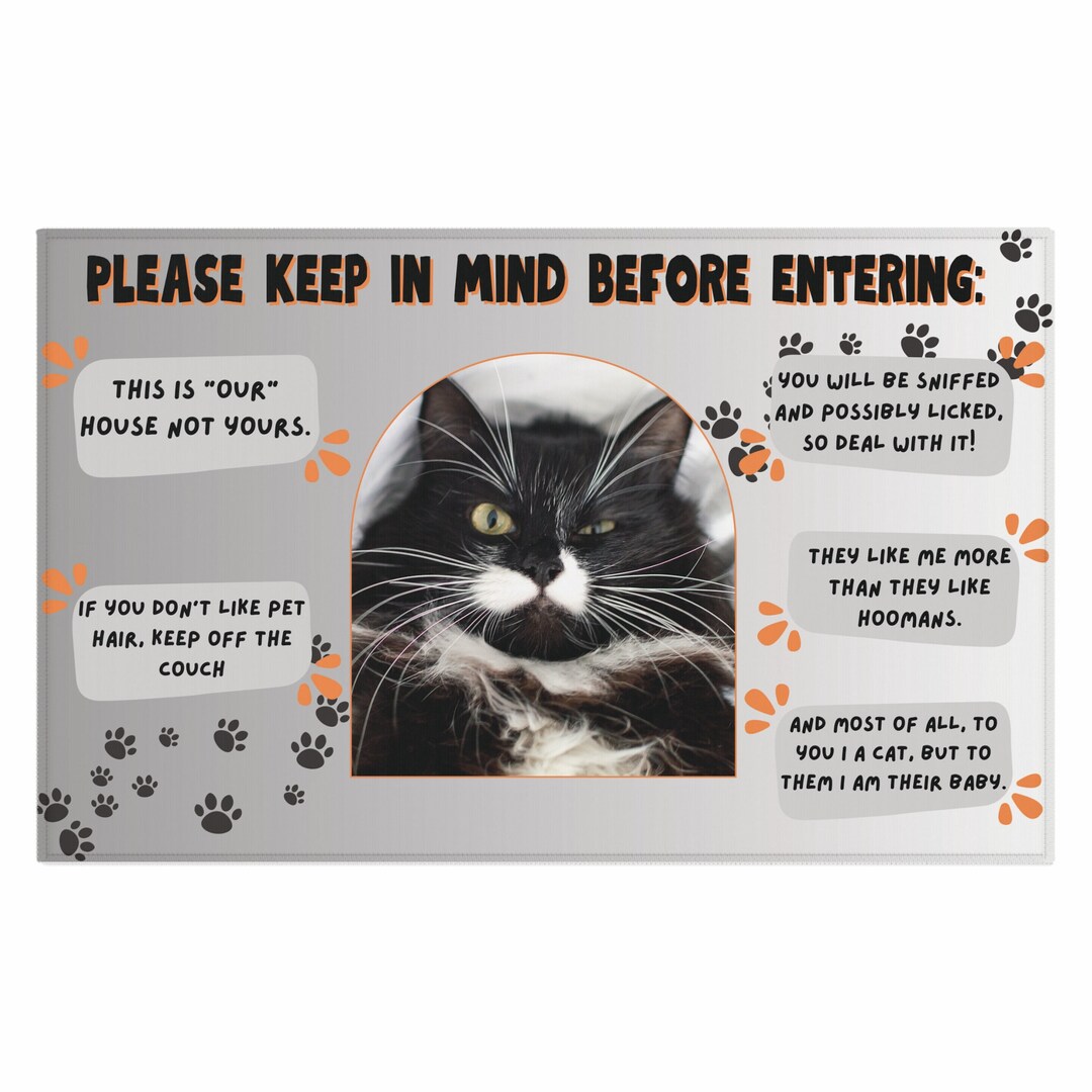 Dornier Rug Customized Funny Cat Meme Door Mat Silky Soft Texture Non ...