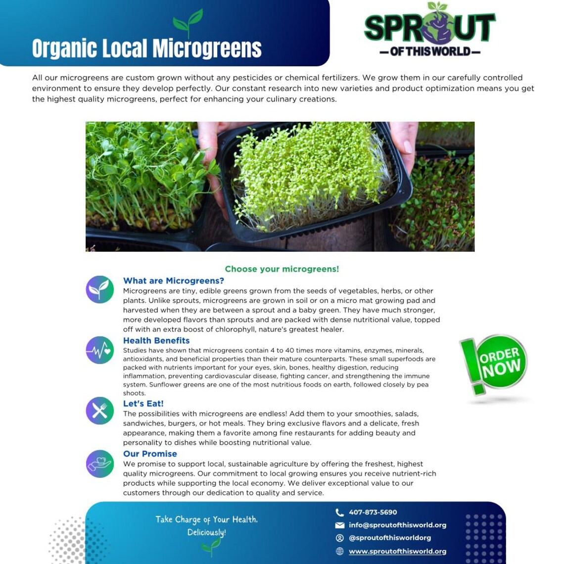 Microgreens Powder, Smoothie, Greens, Protein Powder. 4oz 30 Day Supply ...