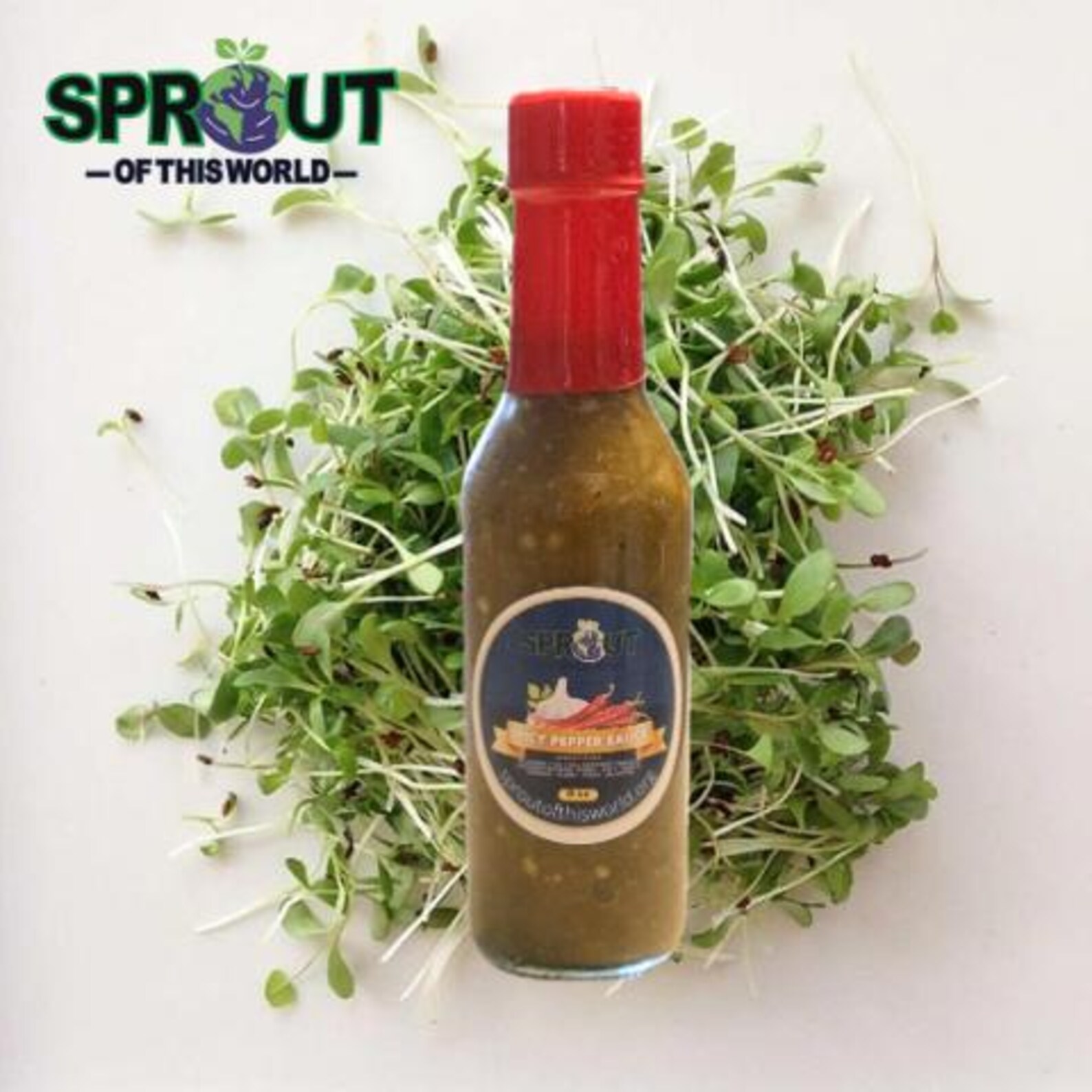 Microgreens Powder, Smoothie, Greens, Protein Powder. 4oz 30 Day Supply ...