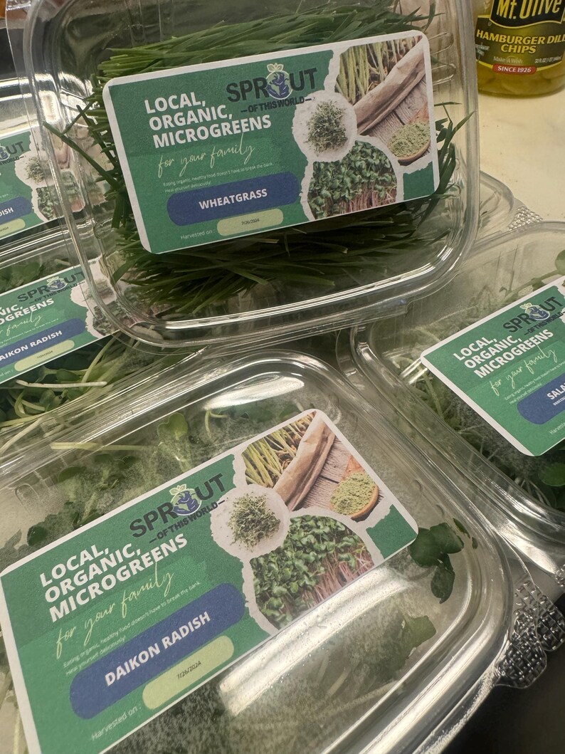 Microgreens Powder, Smoothie, Greens, Protein Powder. 4oz 30 Day Supply ...