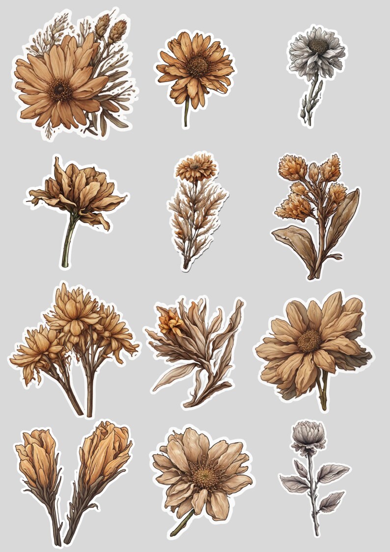 50 Dried Flower Stickers Bundle, Downloadable Digital Sticker Sheets ...