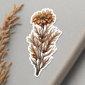 50 Dried Flower Stickers Bundle, Downloadable Digital Sticker Sheets ...