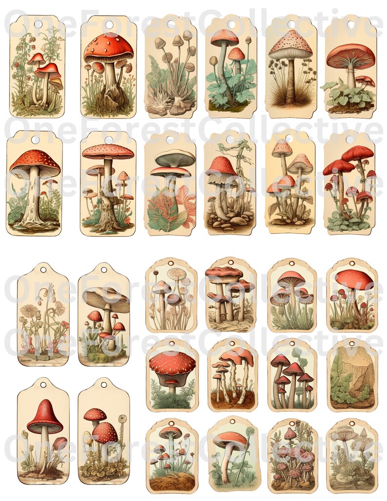 5 PNG Mushroom Tags Ephemera Collage Mixed Media Embellishments ...