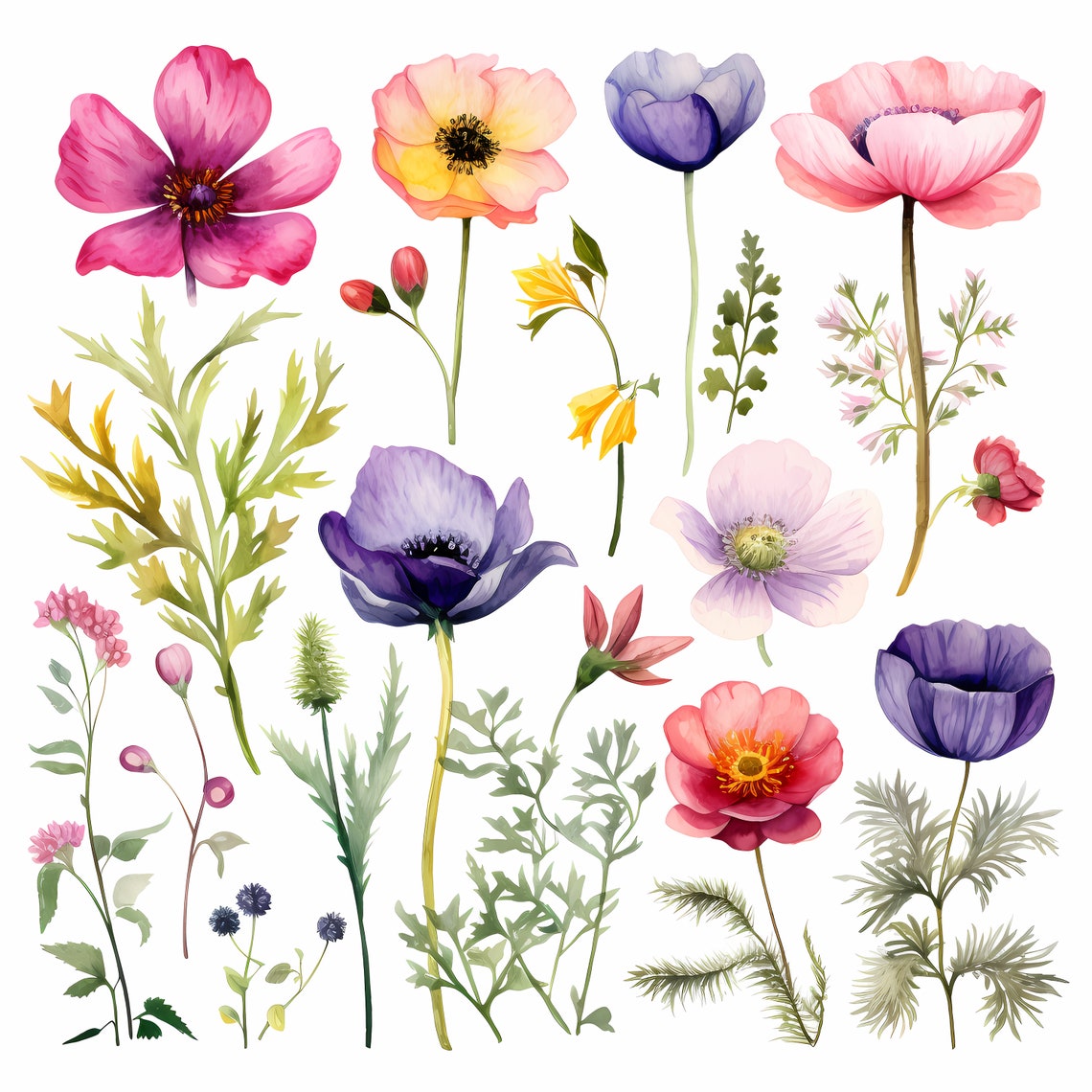 Wildflower Watercolor Clip Art 15 PNG Digital Download No Background ...