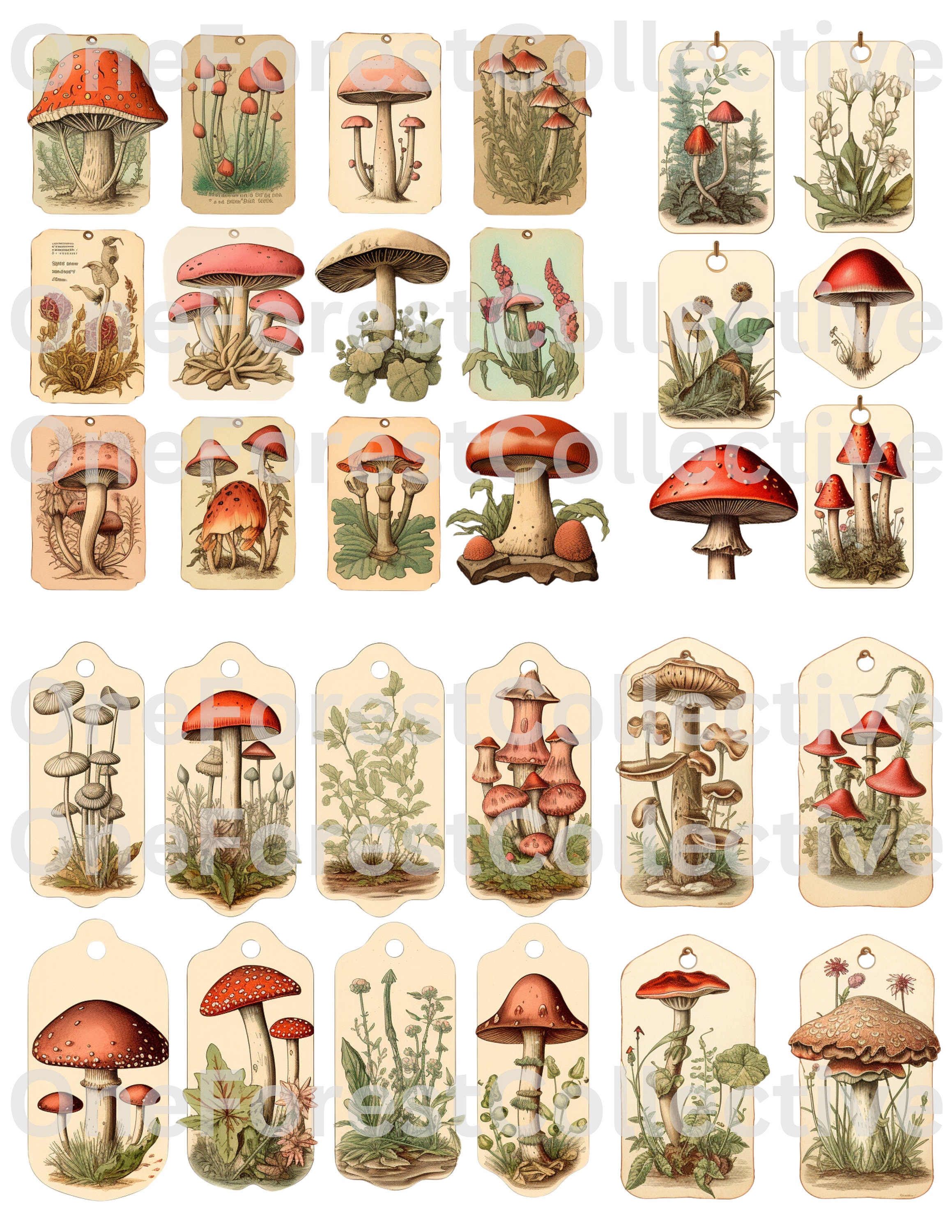 5 PNG Mushroom Tags Ephemera Collage Mixed Media Embellishments ...