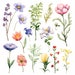 Wildflower Watercolor Clip Art 15 PNG Digital Download No - Etsy