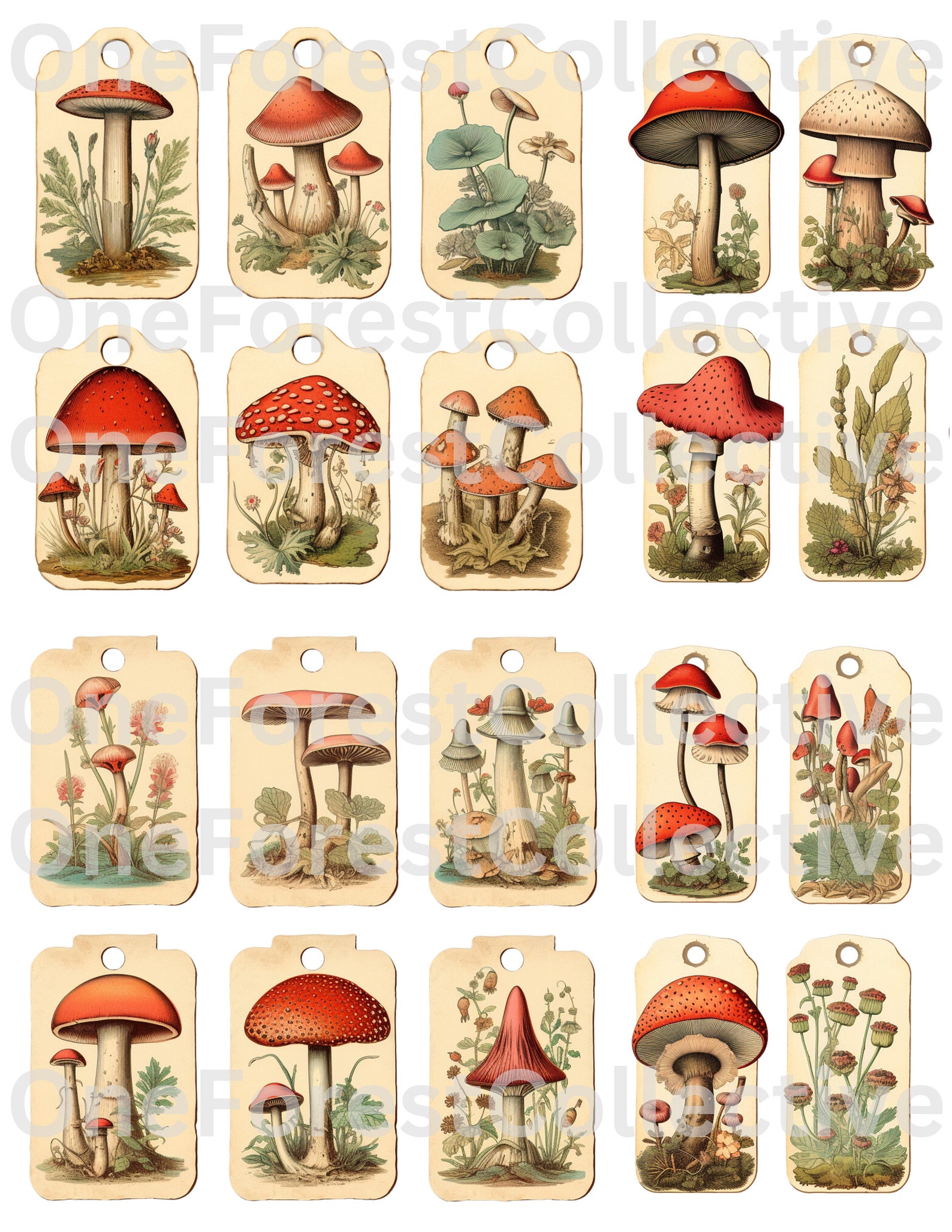 5 PNG Mushroom Tags Ephemera Collage Mixed Media Embellishments ...