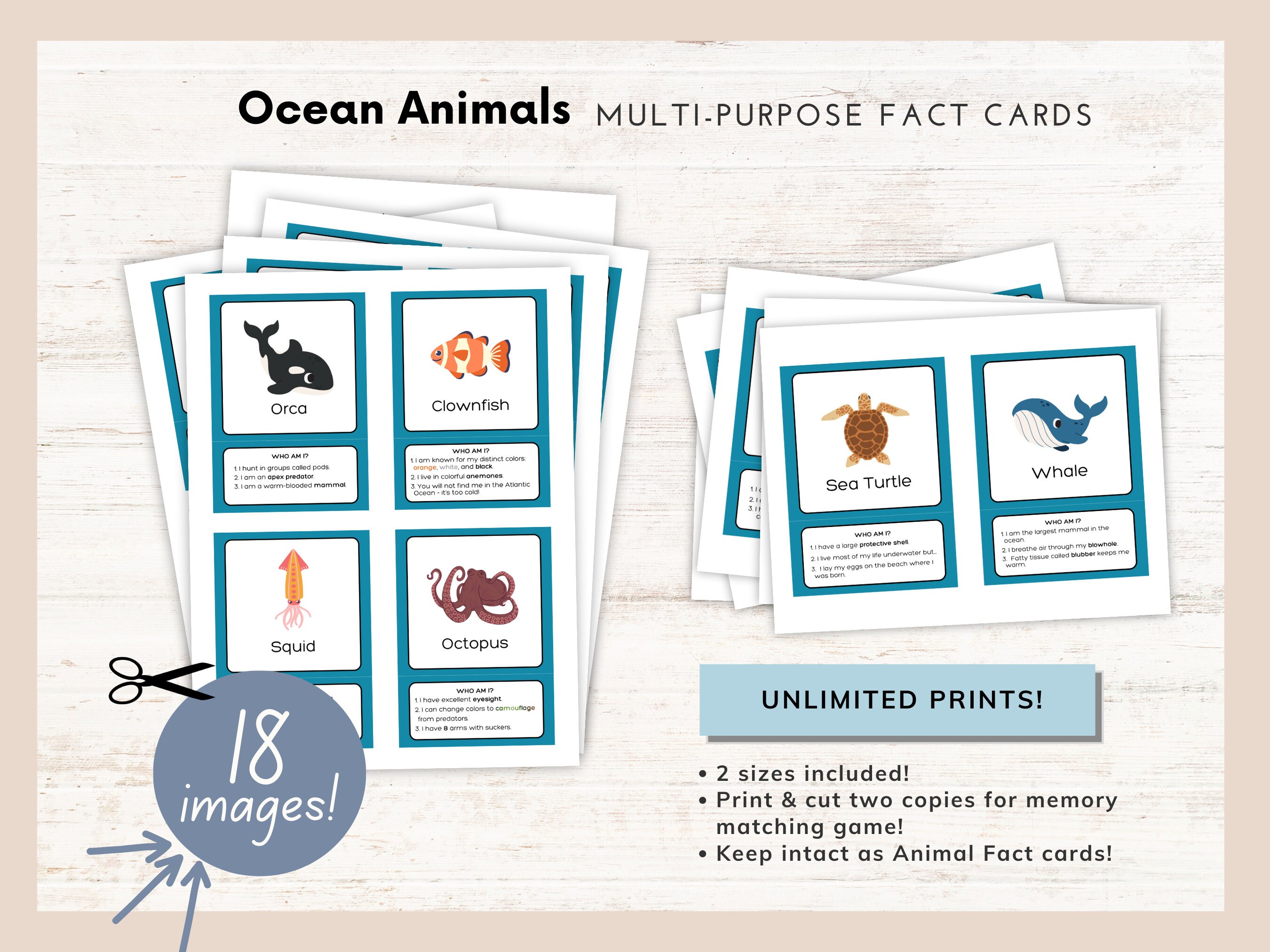 Ocean Animal Montessori Flashcards, Interactive Classroom Printable ...