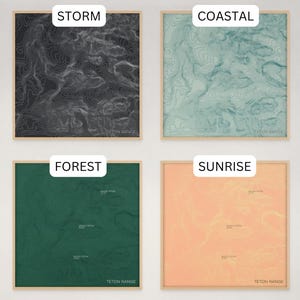 Teton Range Wyoming Topographic Map Poster or Canvas - Etsy
