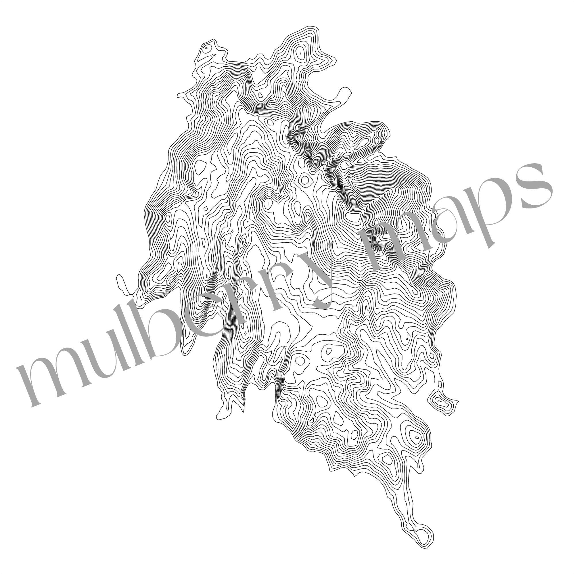Pikes Peak Colorado Topographic Map SVG Vector File - Etsy