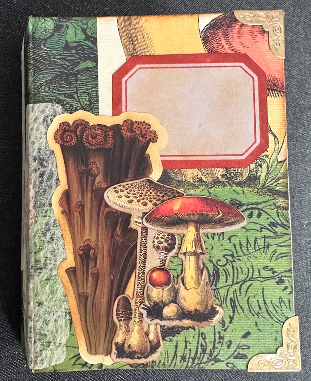 Mushaboom Grimoire - Etsy