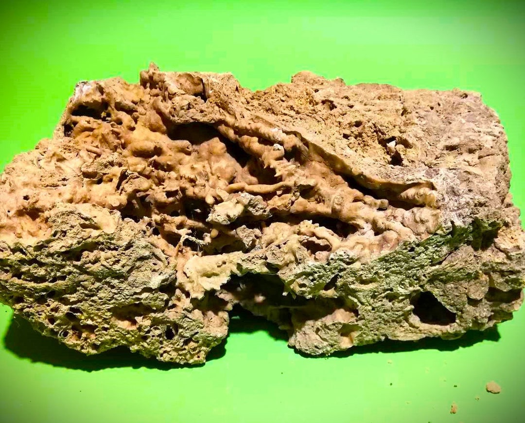 Natural Limestone Rock for Aquarium, Terrarium and Alpineum - Etsy