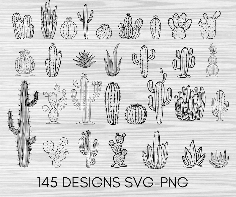 145 Cactus SVG Bundle Cactus Flower SVG File Succulent Png for Shirts ...
