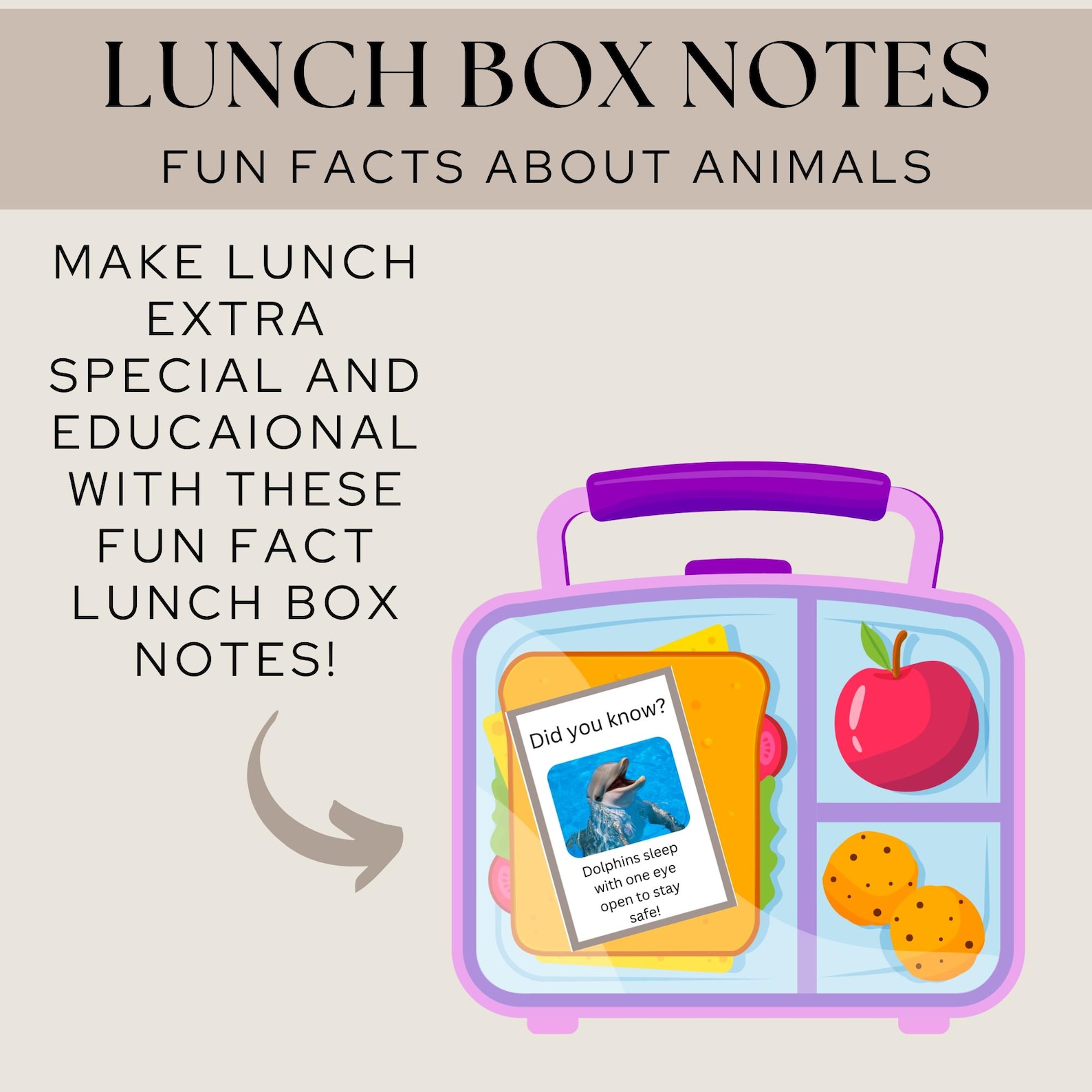 Fun Animal Fact Lunch Box Notes for Kids | Inspiring & Educational ...