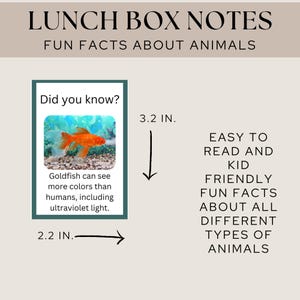 Fun Animal Fact Lunch Box Notes for Kids | Inspiring & Educational ...
