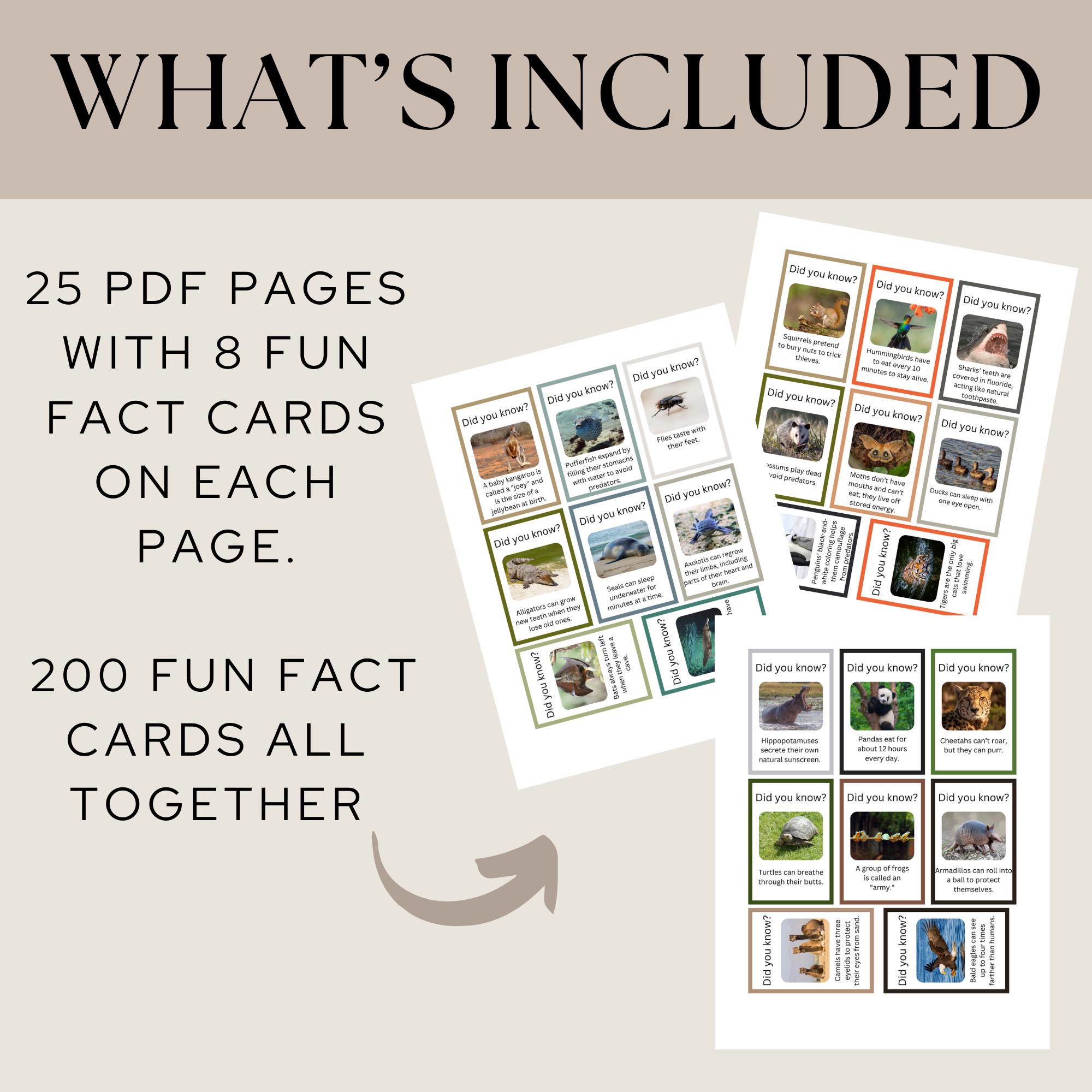 Fun Animal Fact Lunch Box Notes for Kids | Inspiring & Educational ...