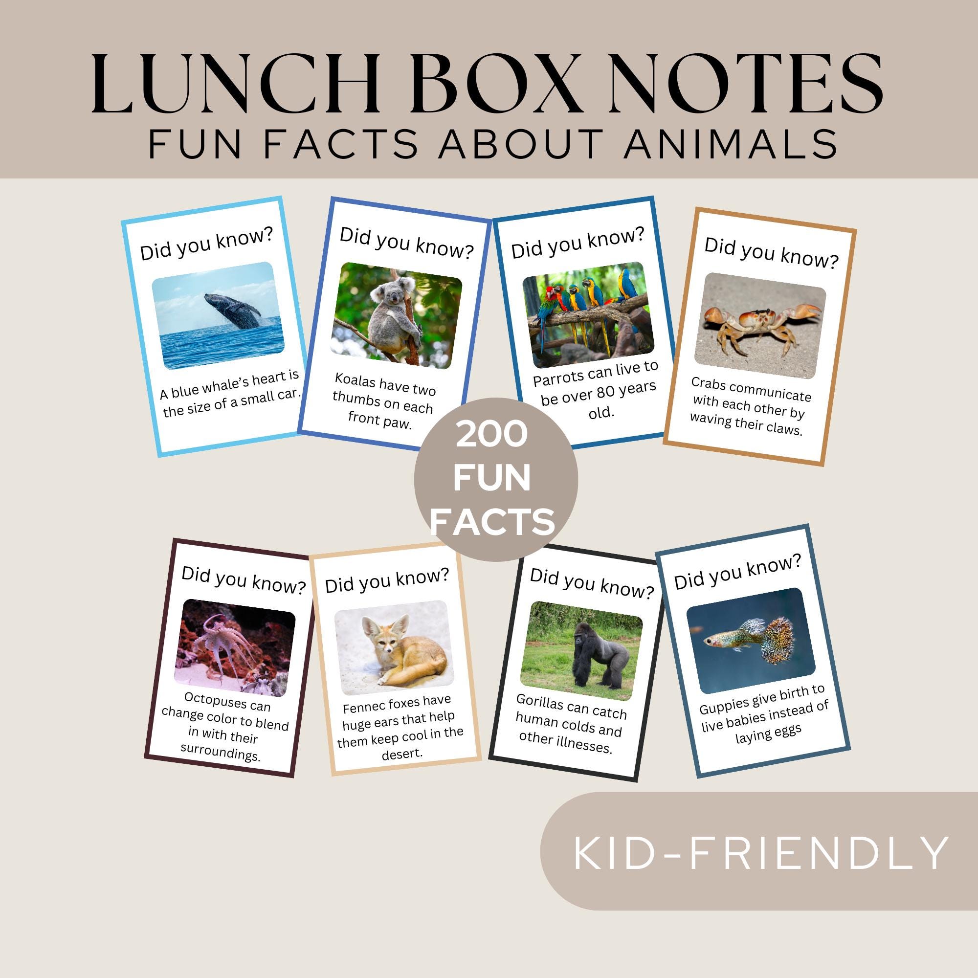 Fun Animal Fact Lunch Box Notes for Kids | Inspiring & Educational ...