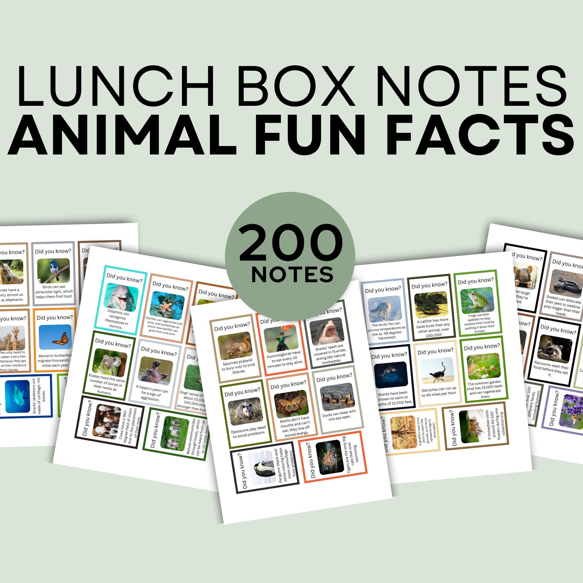 Animal Fact Lunch Box Notes for Kids: 200 Fun Facts (PDF) - Etsy