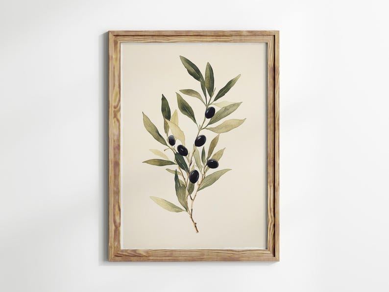 Vintage Olives Illustration Wall Art Print, Herb Kitchen Print ...