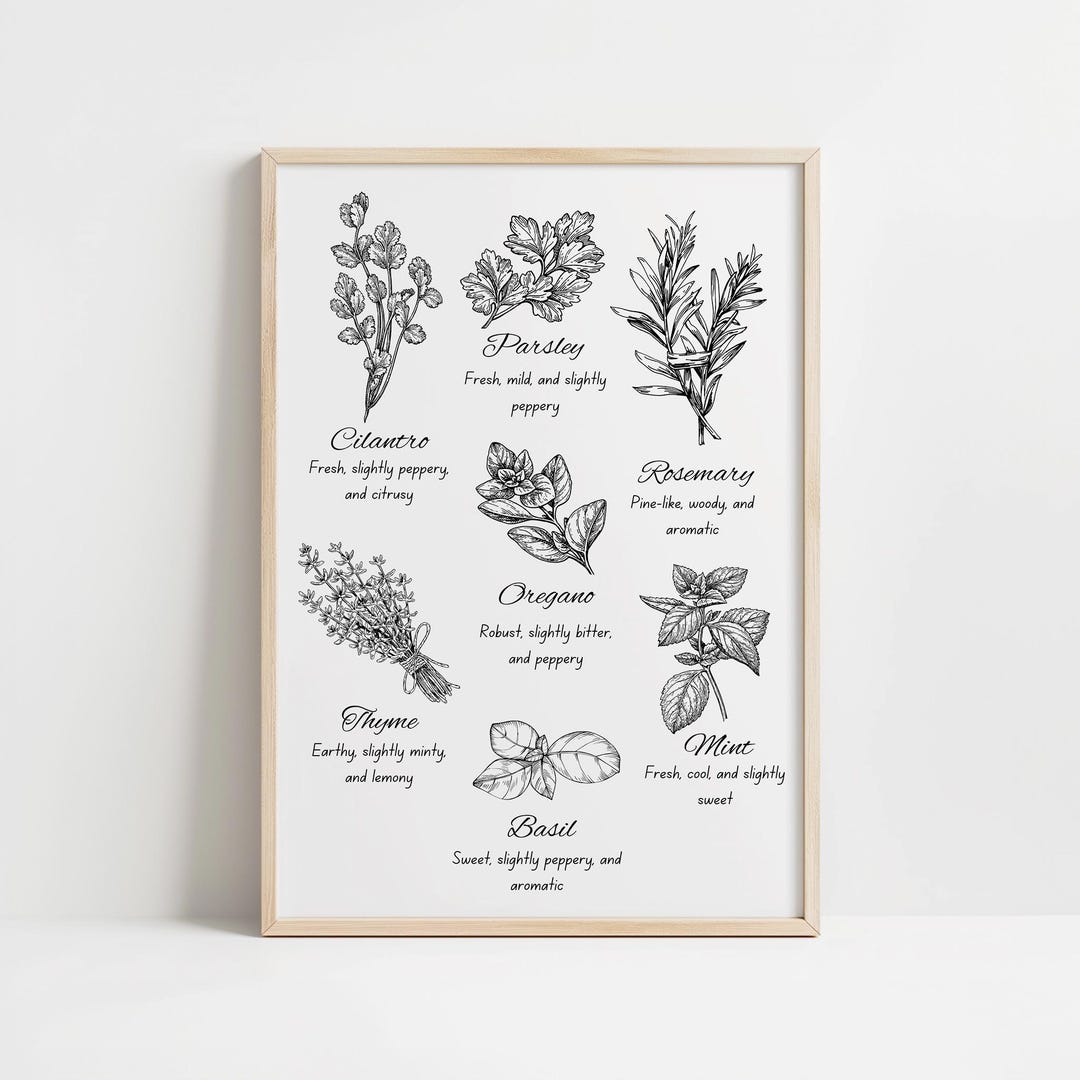 Herb Illustration Kitchen Decor Art Print, Herbal Guide Poster ...