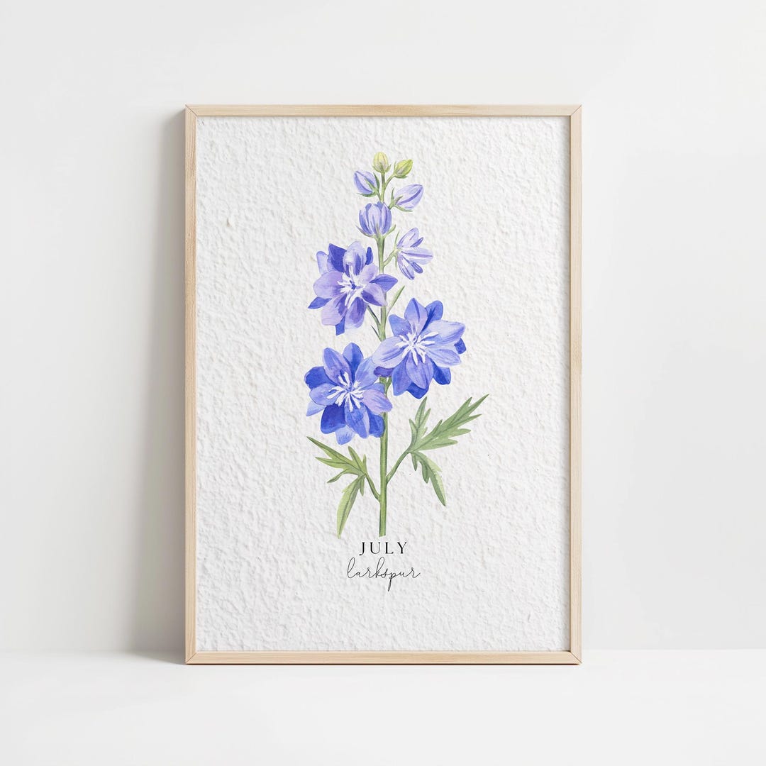 Watercolor July Larkspur Birth Month Flower Vintage Floral Art Print ...