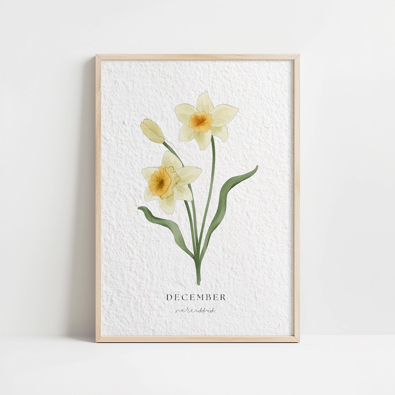 Watercolor December Narcissus Birth Month Flower Vintage Floral Art ...