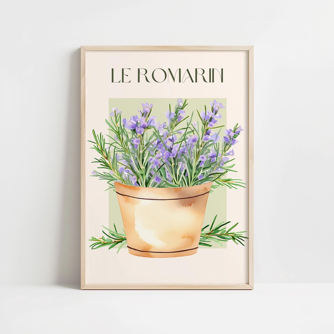 Rosemary Illustration Wall Art Print, Herb Kitchen Print, Botanical ...