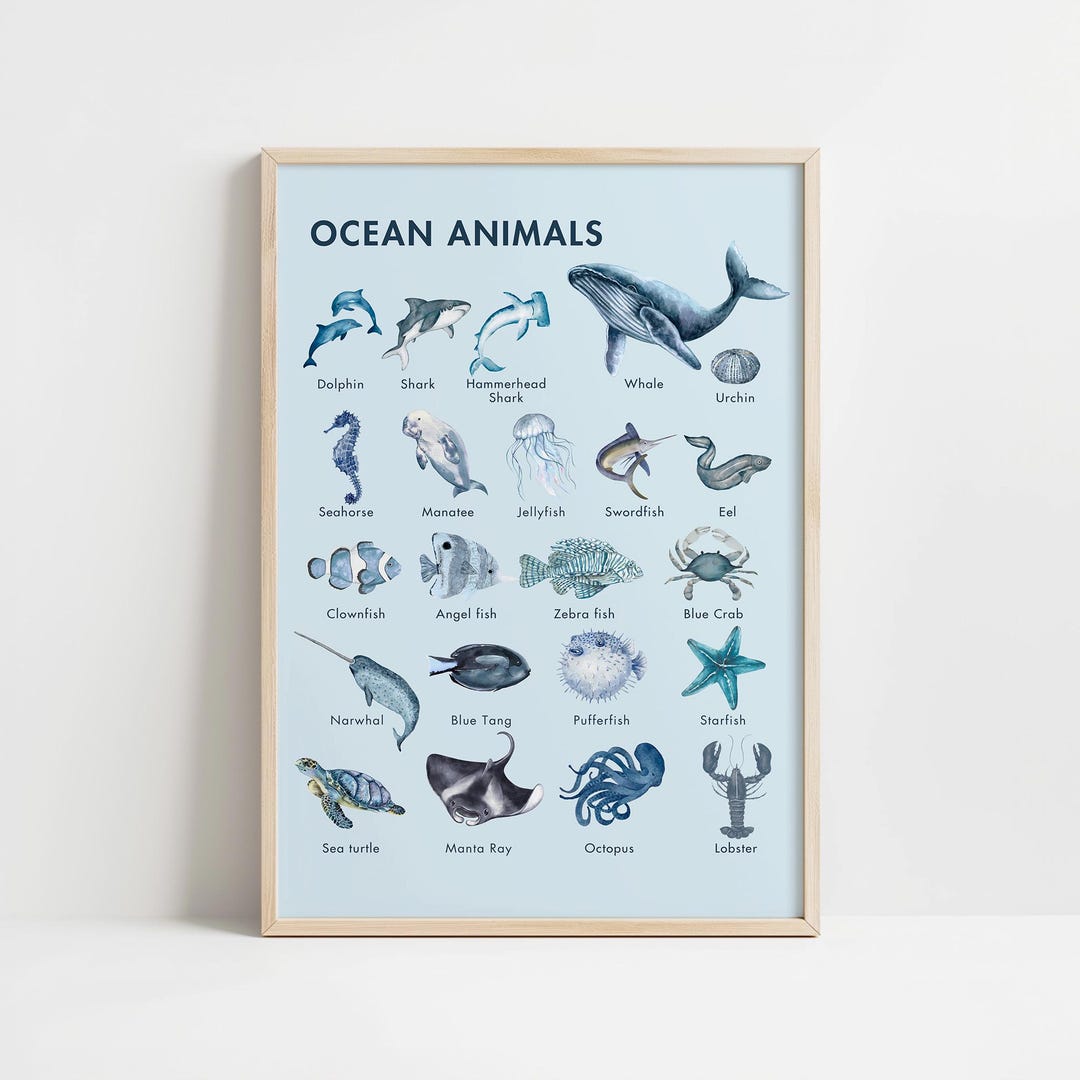 Ocean Animals Educational Wall Art | Sea Life Poster for Kids Room ...
