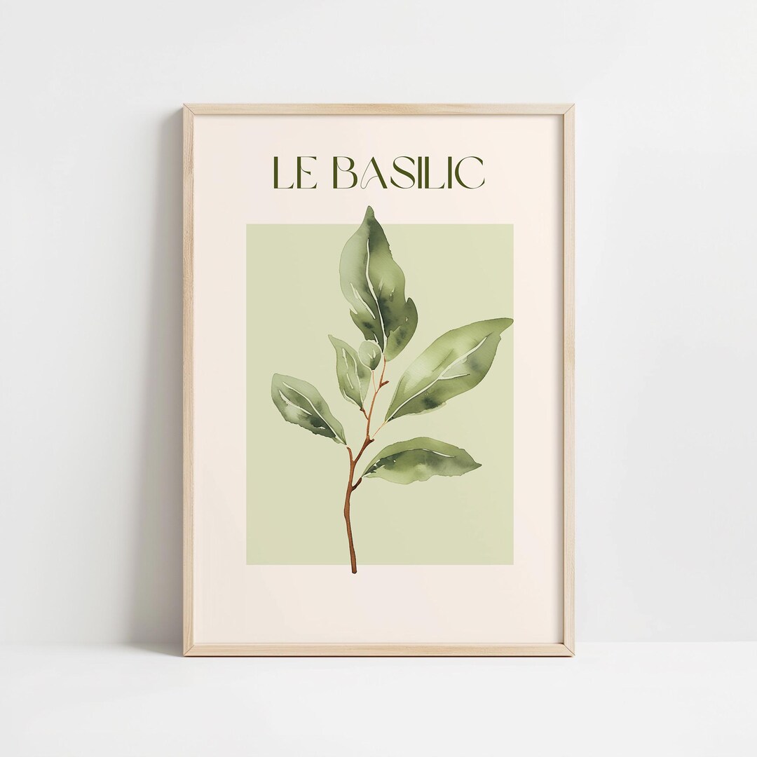 Basil Illustration Wall Art Print, Herb Kitchen Print, Botanical ...