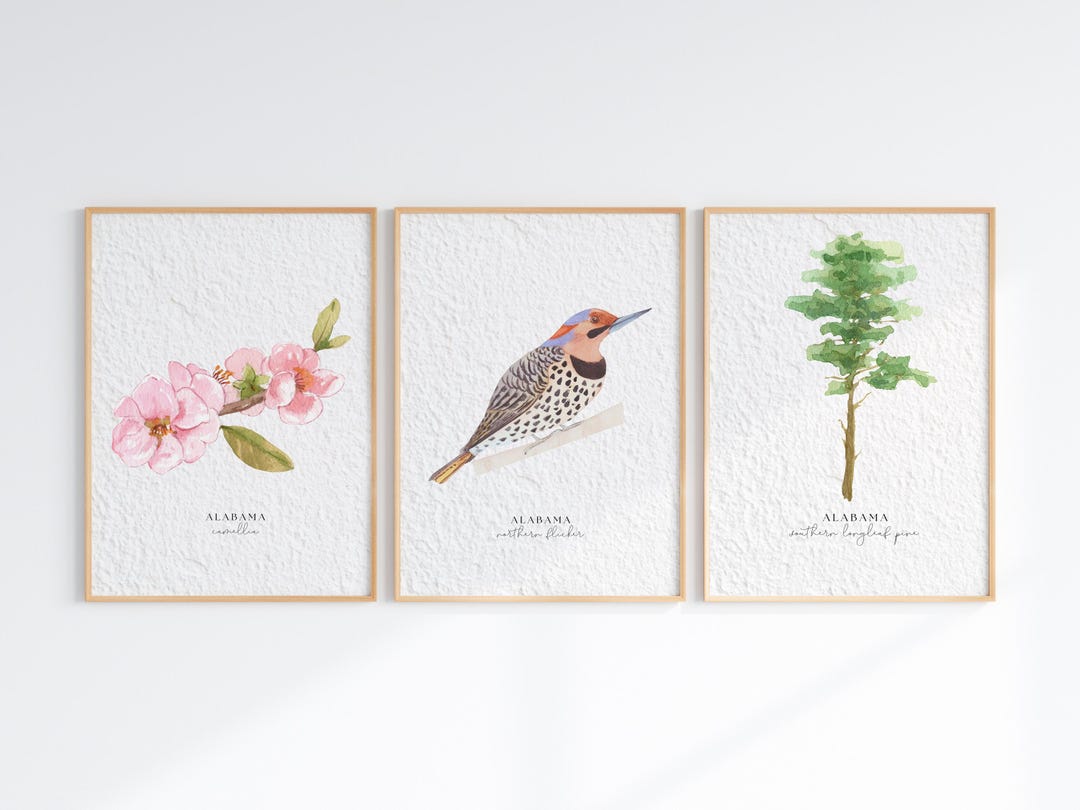 Alabama State Symbols Watercolor Wall Art Decor Set of 3, Bird Northern ...