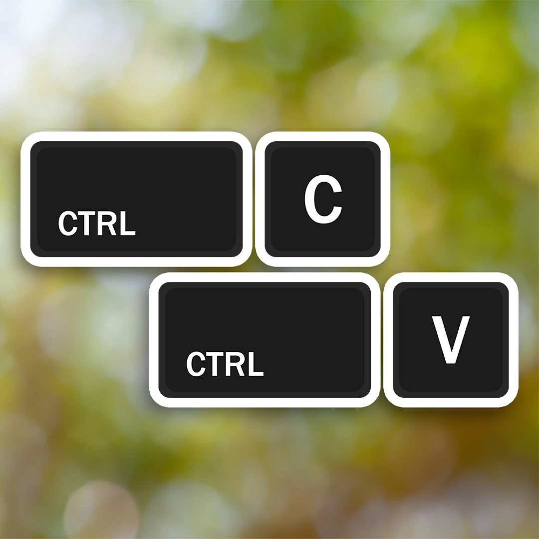 Ctrl CV Meme Sticker, Meme Vinyl, Meme Decal, for Laptop Car, Book, Water Bottle, Helmet, Travel ...