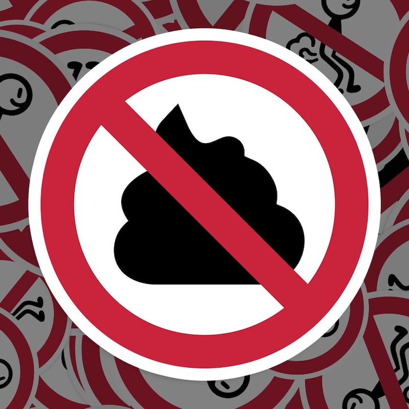 Poop Stickers for Cars - Etsy UK