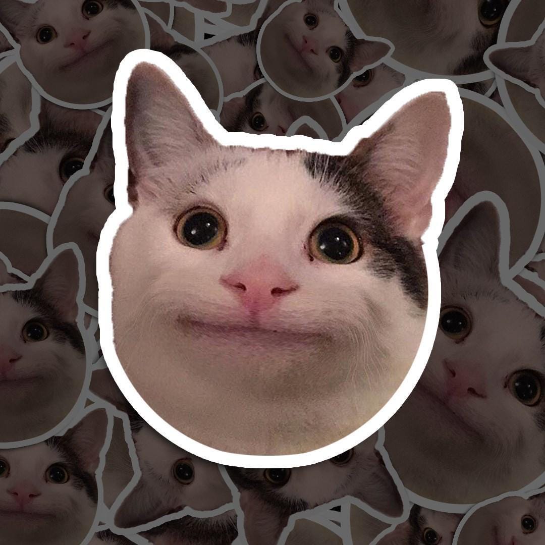 Polite Cat Meme Sticker Cat Sticker Waterproof Vinyl Decal for Laptop Car Book Water Bottle Helmet Travel Bag Etsy