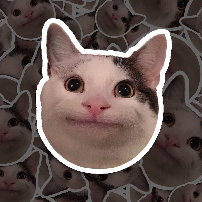 Polite Cat Meme Sticker, Cat Sticker Waterproof, Vinyl Decal, for ...