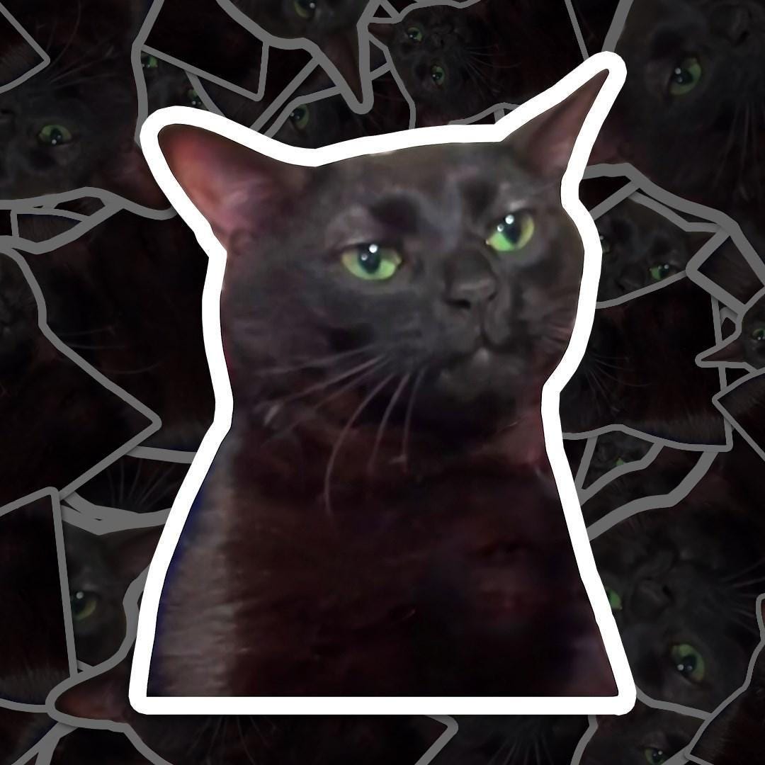 Cat Zoning Out Meme Sticker, Cat Sticker Meme Vinyl, Meme Decal, for ...