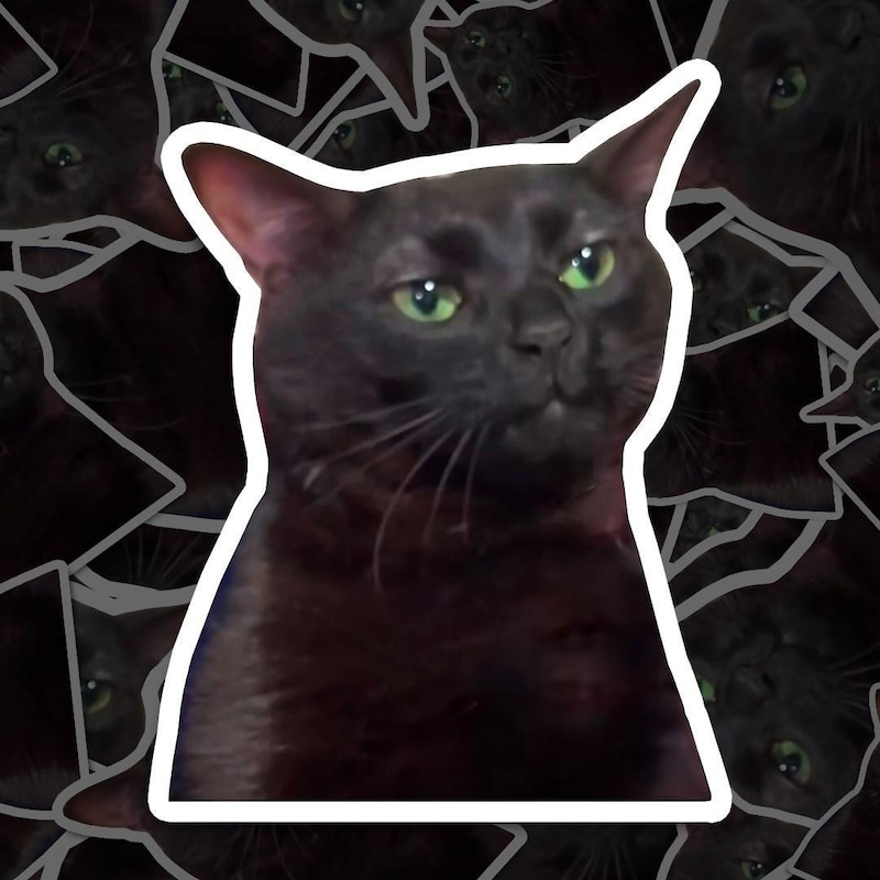 Cat Meme Stickers - Etsy